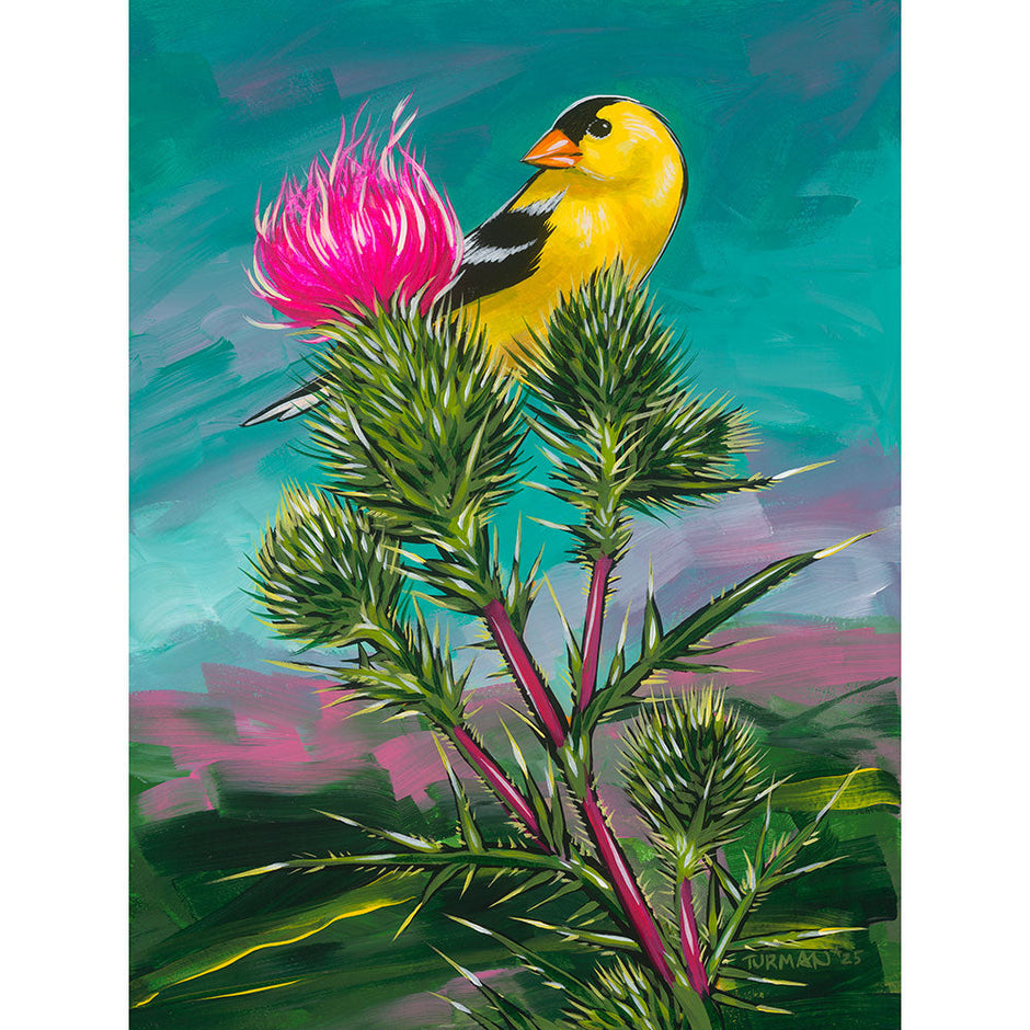 Adam Turman – MN Art